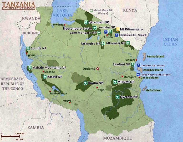 Tansania - MAMUYA SAFARIS